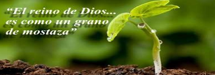 El grano de mostaza | Parroquia de Binéfar